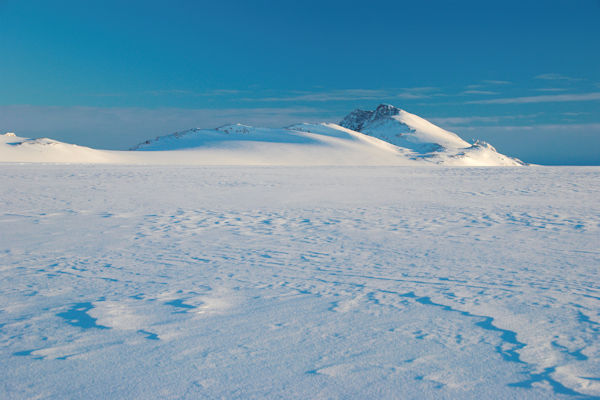 Vakantiegangers deze zomer massaal naar Noordpool